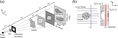 Schematic Of The Grating Based Phase Contrast X Ray Imaging System And Download Scientific