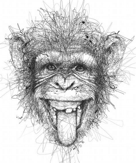 Tier Scribbles Von Vince Low Dertypvonnebenande Monkey Art Animal Drawings Scribble Drawings