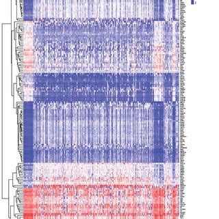Heat Maps Of DEGs Between The Two Databases A Heat Map Of GEO Datasets Download Scientific