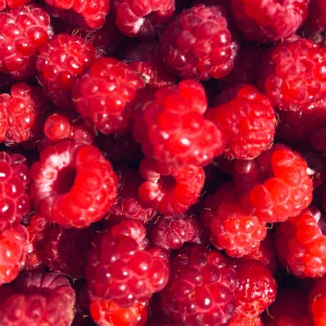 Raspberry Balsamic Vinegar Olive Your Favourites