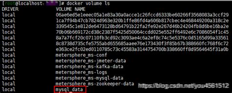 Docker挂载目录以及mysql数据持久化docker 镜像可以存储数据库数据吗 Csdn博客