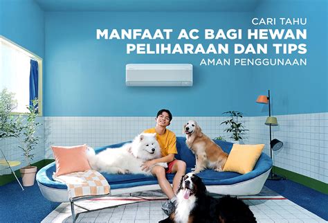 Pengertian Ac Cassette Dan Kelebihannya Acwahana