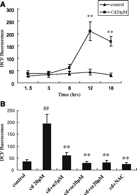 Figure 1 From The Protection Of Selenium On Ros Mediated Apoptosis By Mitochondria Dysfunction