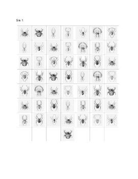 Calculating Biodiversity By Better World Science TPT