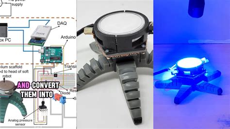 Exploring Fungal Intelligence With Biohybrid Robots Powered By Arduino