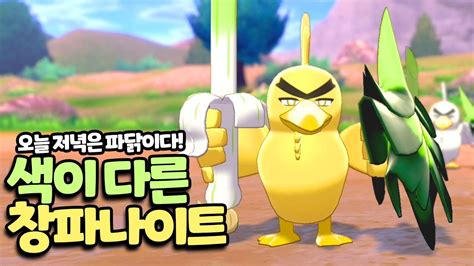 입 벌려 치킨 들어간다 포켓몬 소드 실드 색이다른 이로치 파오리 창파나이트 Youtube