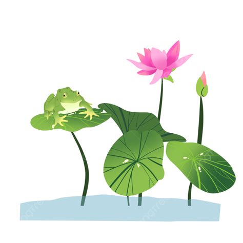 연꽃 과 개구리 의 손 그림 일러스트 로터스 손으로 그린 청개구리 Png 일러스트 및 Psd 이미지 무료 다운로드