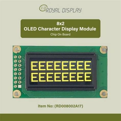 OLED Character Display Module 20 X 2 OLED Character Display Module Wholesale Trader From Thane