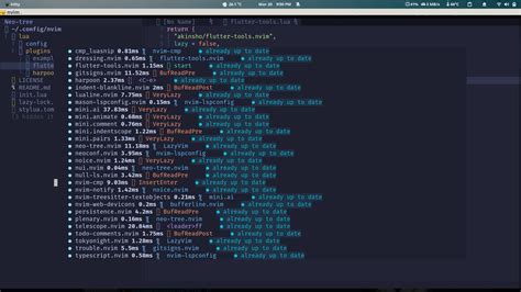How To Make Flutter Tools Work On Lazyvim Rneovim