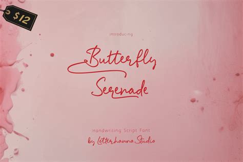 Type Classifications And Font Families Letterhanna Studio