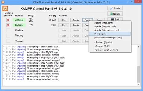Troubles With Installation On Xampp Or Wamp Hotthemes