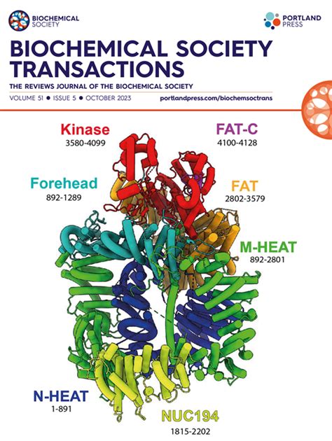 Insights Into The Function Of Cytoglobin Biochemical Society
