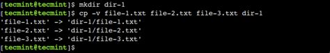 How To Use Cp Command Effectively In Linux 14 Examples
