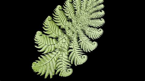 문상욱 고사리 녹색 프랙탈 Youtube