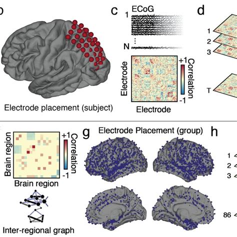 Processing Pipeline For Group Level Ecog Functional Connectivity Fc Download Scientific