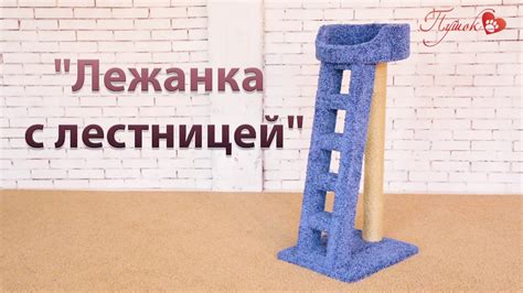 Процесс сборки комплекса "Лежанка с лестницей" - YouTube