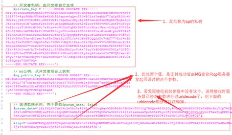Payment Callback And Verify Login Status
