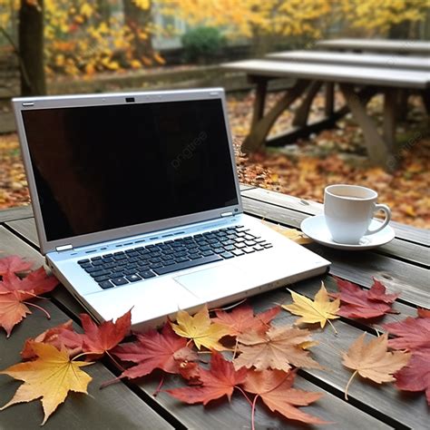 단풍 노트북과 커피 컵 노트북 책상 가을 노트북 단풍잎 배경 일러스트 및 사진 무료 다운로드 Pngtree