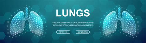 머리 승진 깃발을 위한 폐 다각형 상징 수평 로우 폴리 포스터 일러스트레이션 장기 해부학 디자인 템플릿 일러스트 개념 3차원 형태에 대한 스톡 벡터 아트 및 기타 이미지