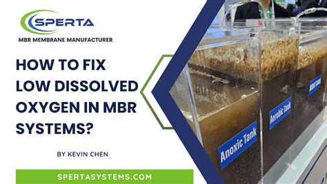 How To Fix Low Dissolved Oxygen In Mbr Systems Sperta Membrane How To Fix Low Dissolved Oxygen In Mbr Systems Sperta Membrane
