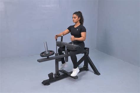 Seated Calf Raise Tw 1017 Into Wellness
