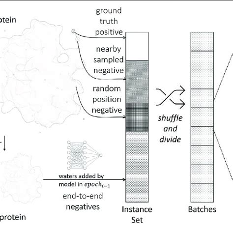 Training Process Of The Scoring Function Download Scientific Diagram