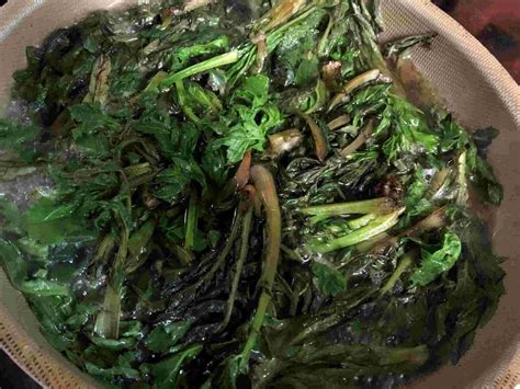 山菜のコゴミとアザミを料理して春を味わう つがる時空間