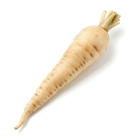 Premium Photo Parsnip Root Vegetable Tapered Shape Characterized By