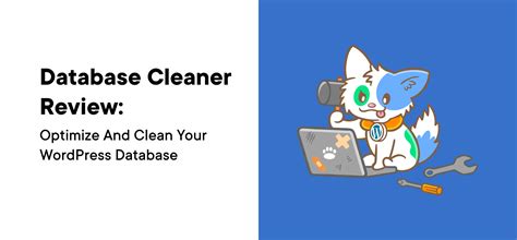 19 Plugins To Optimize Wordpress