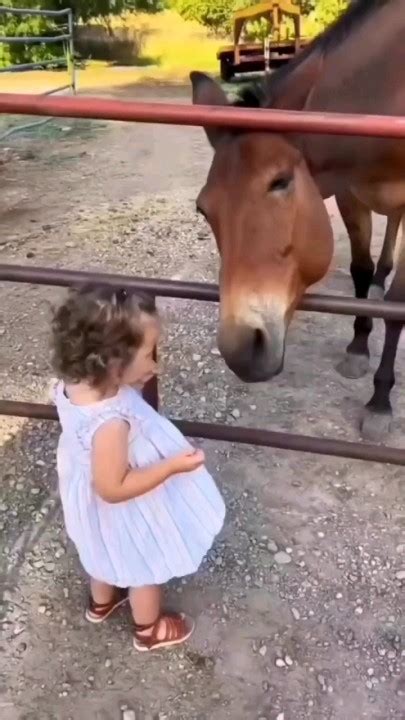 Preethi Krishnan Posted On Linkedin