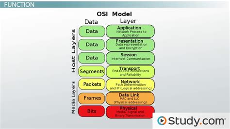 LAN Card Function Types Lesson Study Com