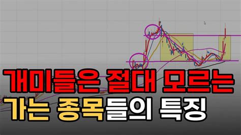 모르면 평생 후회하는 가는 종목들의 특징 Youtube