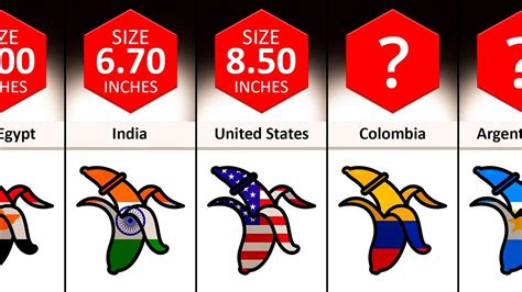 Average Penis Sizes Comparison Youtube