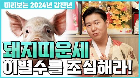 돼지띠운세 미리보는 2024년 돼지띠운세 용인점집 왕이될상인가tv왕상tv 돼지띠 사주 신점 무당 무속인 하반기운세 운세 상반기운세 띠운세