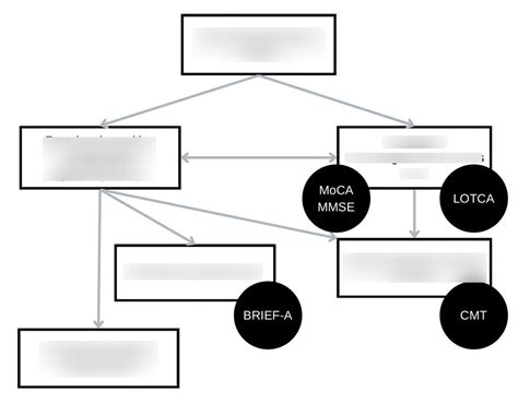 Assessment Process Diagram Quizlet