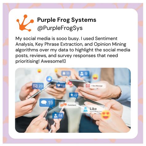 How Purple Frog Systems Can Help Your Social Media Purple Frog