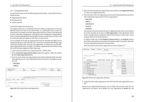 SAP BRIM SAP Billing And Revenue Innovation Manageme By SAP PRESS