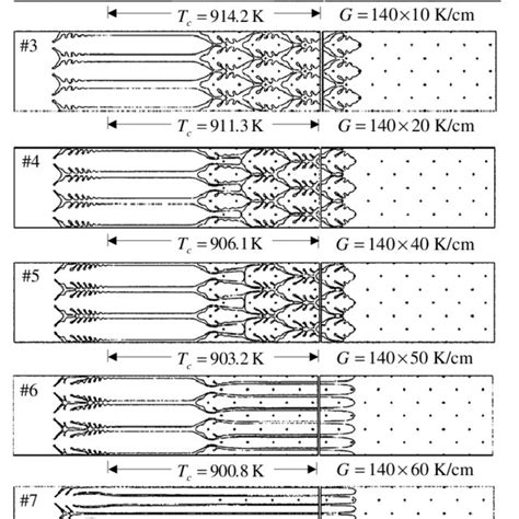 Pdf Phase Field Simulation Of The Columnar To Equiaxed Transition In Alloy Solidification