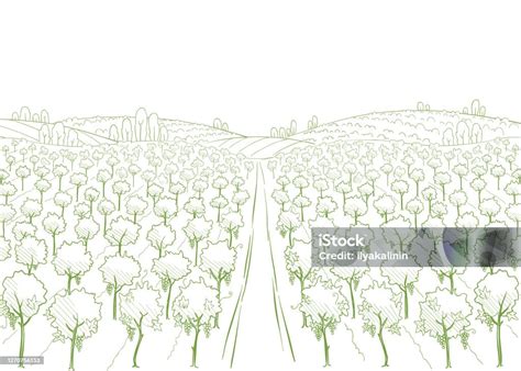 와인 라벨 배경 필드 로드 포도원 풍경 스케치 포도 농장 손으로 그린 등고선 공간을 복사합니다 플랜테이션에 대한 스톡 벡터 아트 및 기타 이미지 Istock