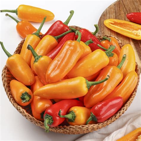 알록달록 미니 파프리카 1kg