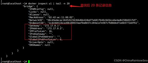12 Docker 网络bridge，host，none，container，自定义网络配置操作详解 知乎