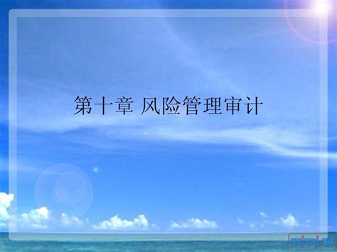 第十章 风险管理审计word文档在线阅读与下载无忧文档