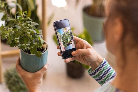Put A Plant Identifier And Caretaker In Your Pocket For 15 With This