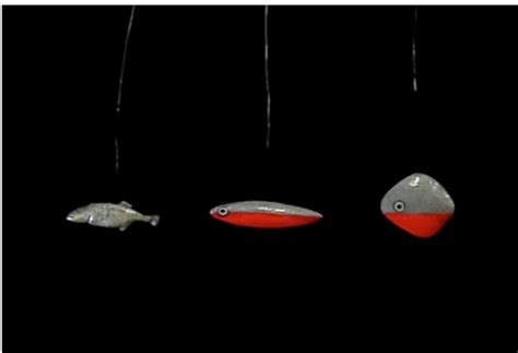 Behaviour Lecture 1 Introduction To Learning Prediction And Control Flashcards Quizlet Behaviour Lecture 1 Introduction To Learning Prediction And Control Flashcards Quizlet