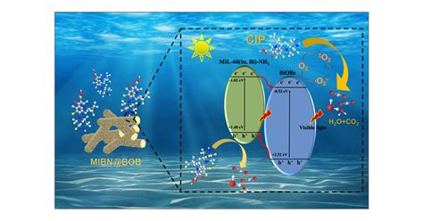 Synergistic Effect Of Ion Doping And Type Ii Heterojunction Construction And Ciprofloxacin