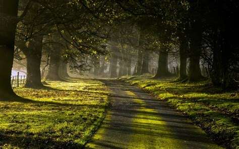 Nature Landscape Sun Rays Road Trees Sunrise Grass Green Fence