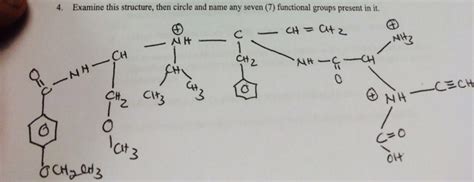 Solved Examine This Structure Then Circle And Name Any Chegg Com
