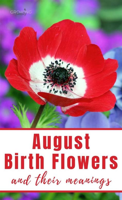 Month Of August Flower
