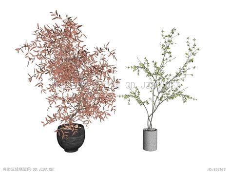 现代绿植盆栽3d植物花盆花箱花篮盆景摆件室内绿植地被花卉景观树SU模型 植物模型 精SU模型